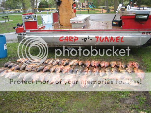 best tip to use? | Archery Talk Forum