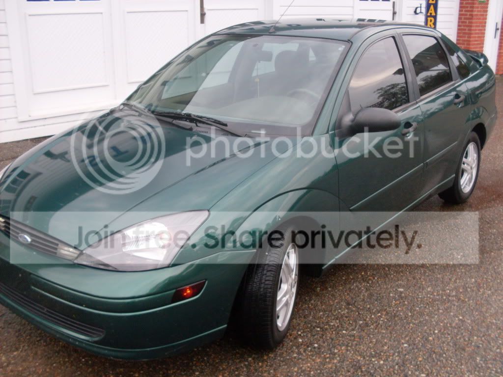 new photos | Focus Fanatics Forum