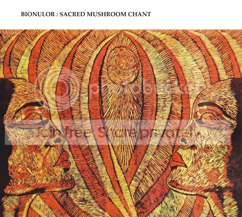 Bionulor | Sacred Mushroom Chant | grzegorz bojanek